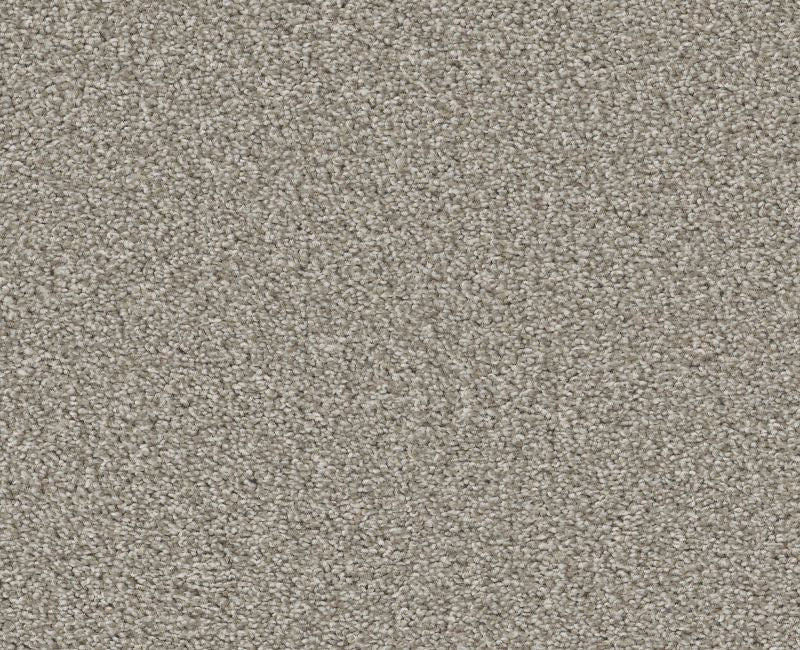 Shaw Trusolutions III 00505 Stone Path Carpet — Stone & Tile Shoppe, Inc.