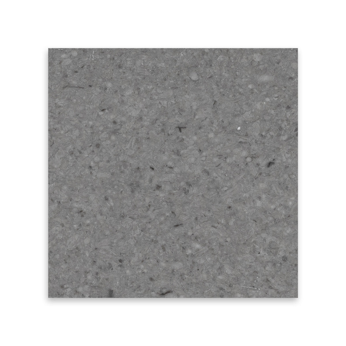 Tao Gray Polished Marble Tile | Lowest Price — Stone & Tile Shoppe, Inc.