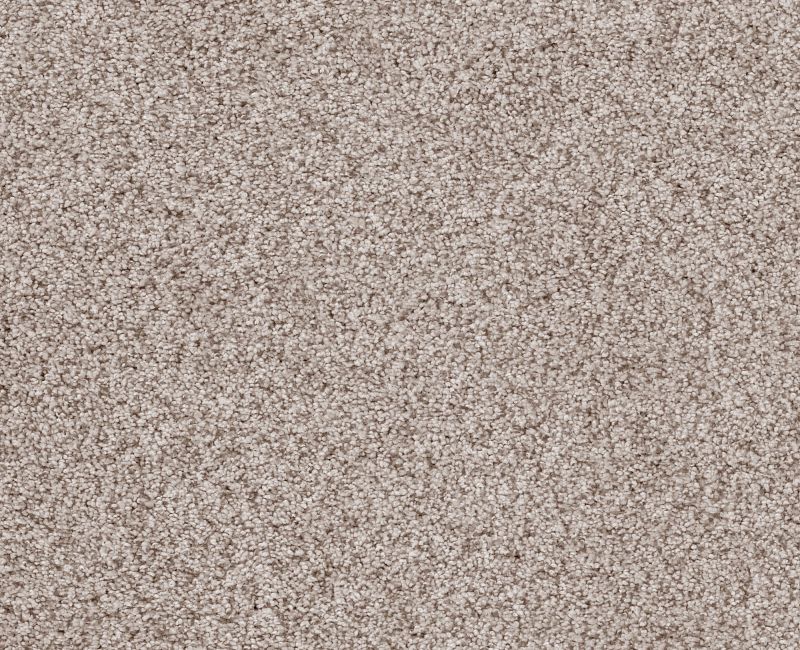 Shaw Sumptuous I 00152 Granite Dust Nylon Carpet — Stone & Tile Shoppe ...