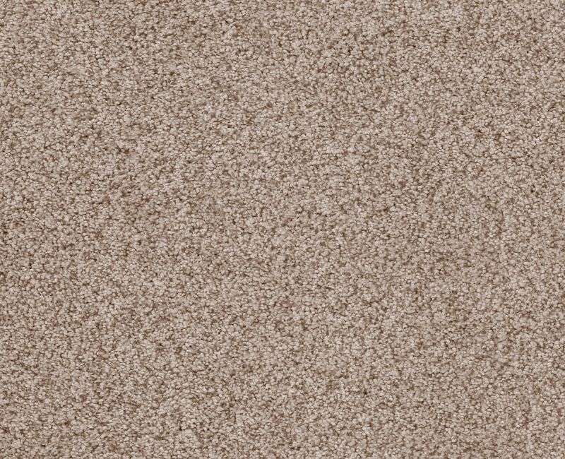 Shaw Sumptuous I 00241 Toasted Grain Nylon Carpet — Stone & Tile Shoppe ...