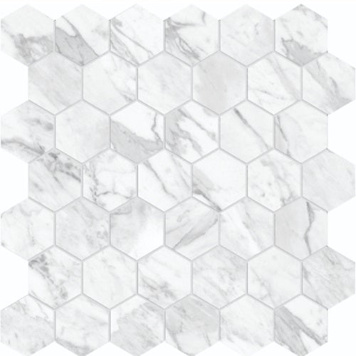 Specialty Tile Products Adonis Statuarietto Polished, Honed Porcelain ...