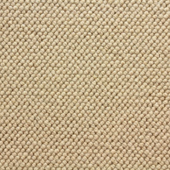 Stanton Wool Studio Alta 711 Sundance Loop Wool Carpet | Lowest Price ...