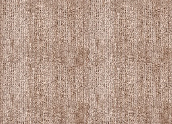 Stanton Atelier Portfolio Craze Tan Textured Nylon Carpet — Stone ...