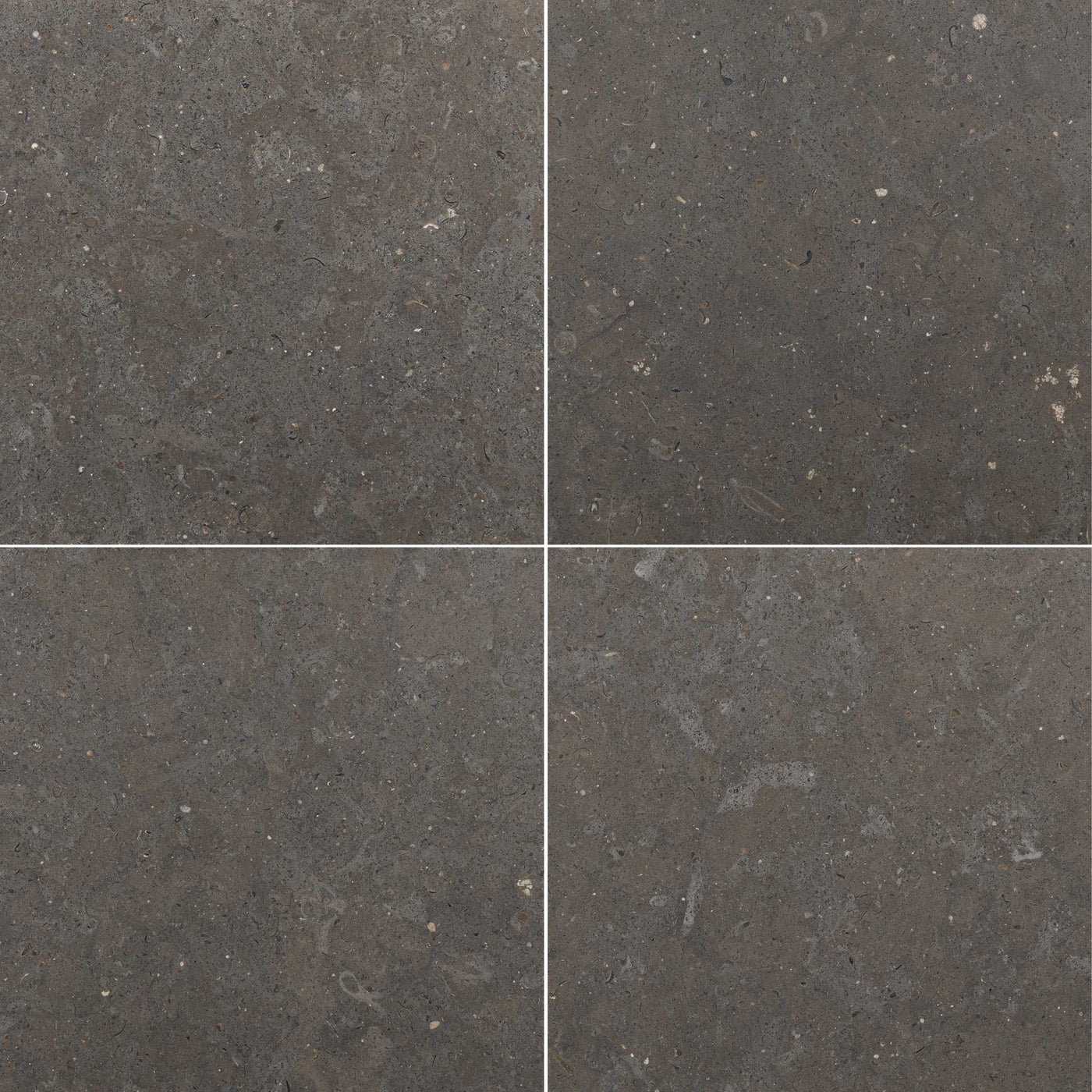Nova Blue (Azul Lagos) Limestone Tile - Honed | Stone & Tile Shoppe