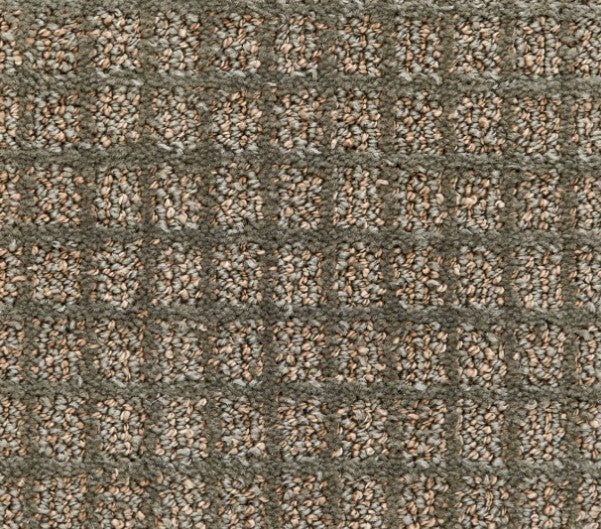 Stanton Atelier Portfolio Mania Creek Pattern Nylon Carpet — Stone ...