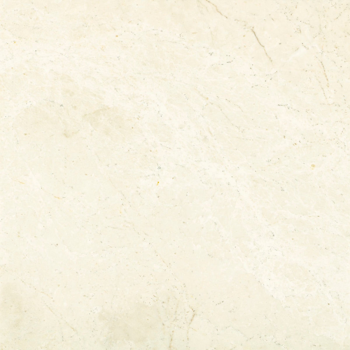 Snow White Honed Marble Tile | Lowest Price — Stone & Tile Shoppe, Inc.