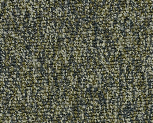 Philadelphia Commercial Multiplicity 00300 Heap Loop Nylon Carpet ...