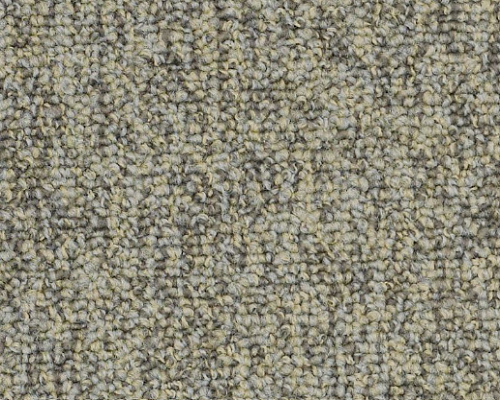 Philadelphia Commercial Multiplicity 00500 Batch Loop Nylon Carpet ...