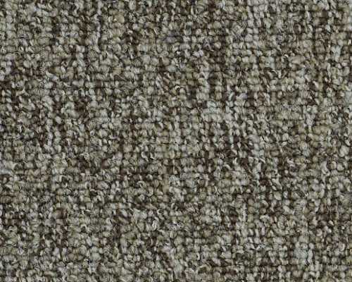 Philadelphia Commercial Multiplicity 00505 Cluster Loop Nylon Carpet ...