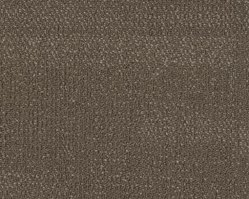 Philadelphia Commercial Reshaped Reemerge 00700 Shift Nylon Carpet Tile ...