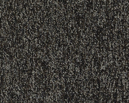 Philadelphia Commercial Multiplicity 00710 Volume Loop Nylon Carpet ...