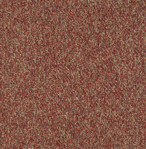Philadelphia Commercial Franchise II 28 00820 Raisinberry Nylon Carpet ...