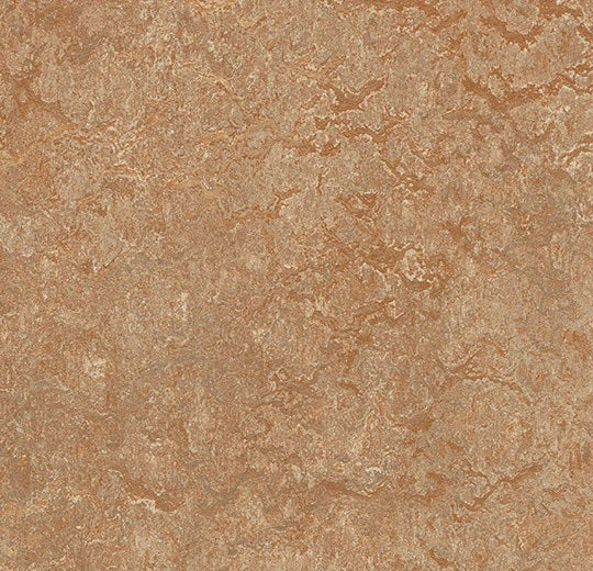 Forbo Marmoleum Real 3233 Shitake Topshield Pro Sheet Linoleum — Stone & Tile Shoppe, Inc.