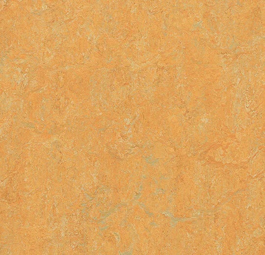 Forbo Marmoleum Real 3847 Golden Saffron Topshield Pro Sheet Linoleum ...