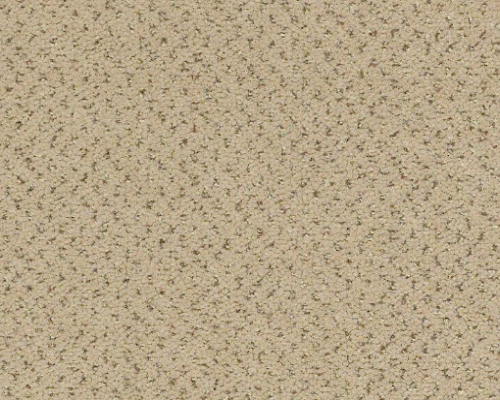 Philadelphia Commercial Future Generations 44101 Gen Z Nylon Carpet ...