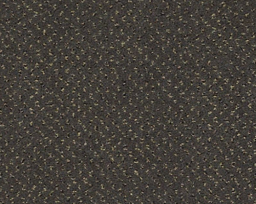 Philadelphia Commercial Future Generations 44505 Century Nylon Carpet ...