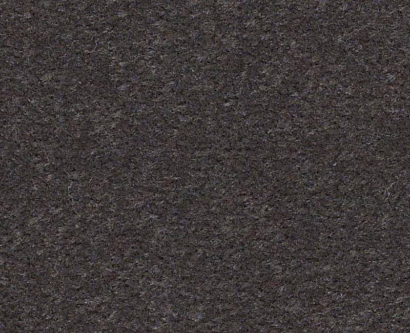 Philadelphia Commercial Emphatic II 30 00583 Gray Nylon Carpet — Stone ...