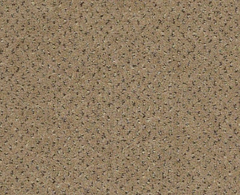 Philadelphia Commercial Future Generations 00103 Light Beige Carpet ...