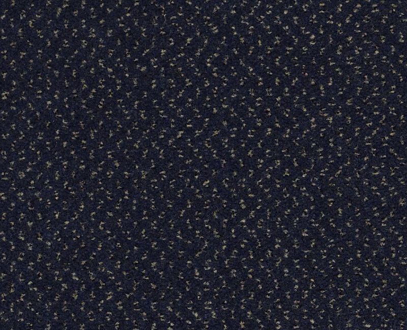 Philadelphia Commercial Future Generations 00412 Dark Blue Carpet ...