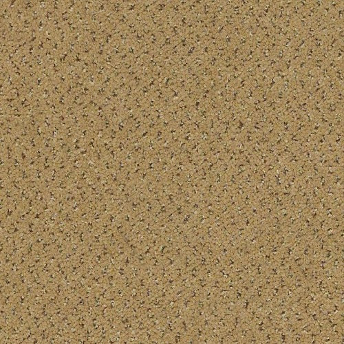 Philadelphia Commercial Future Generations 00102 Medium Beige Carpet ...