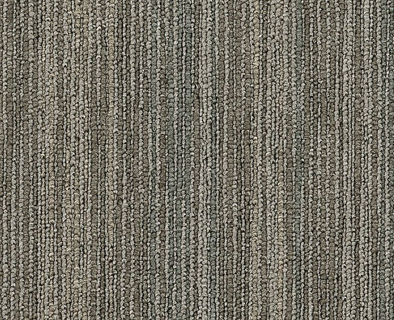 Philadelphia Commercial Praise 00505 Light Gray Nylon Carpet Tile ...