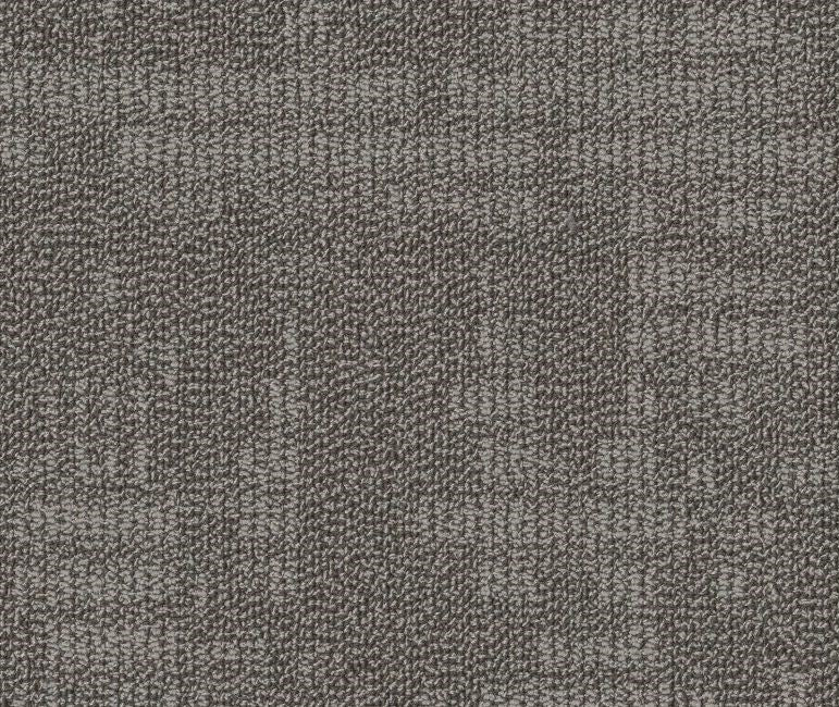 Philadelphia Commercial Curious Wonder 00505 Light Gray Carpet Tile ...