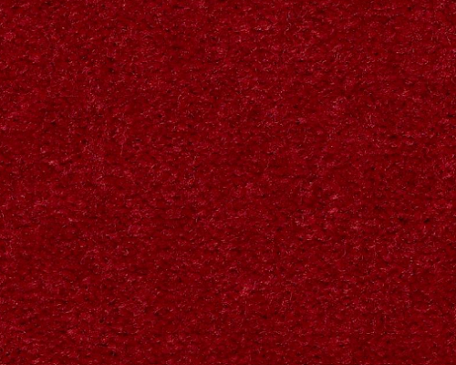 Philadelphia Commercial Emphatic II 36 56846 Cathedral Red Nylon Carpet ...