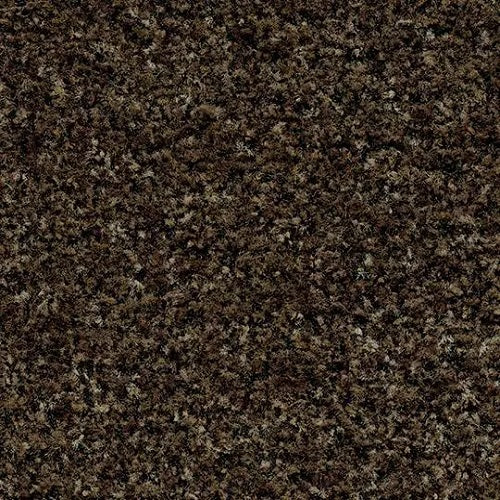 Forbo Color Brush 5774 Biscotti Brown Nylon Carpet Tile — Stone & Tile ...