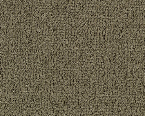 Philadelphia Commercial Color Accents BL 62761 Portabella Nylon Carpet ...