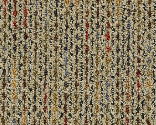 Philadelphia Commercial Gusto Zest 78110 Vibrant Loop Nylon Carpet ...
