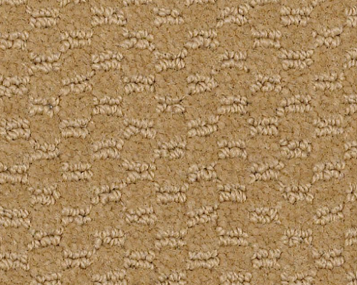 Philadelphia Commercial Latest Trend 98280 Camelback Nylon Carpet ...
