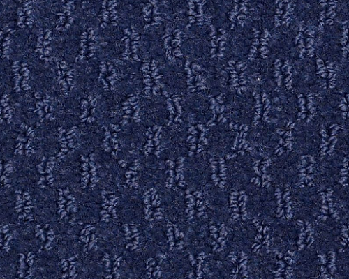 Philadelphia Commercial Latest Trend 98402 Blue Clover Nylon Carpet ...
