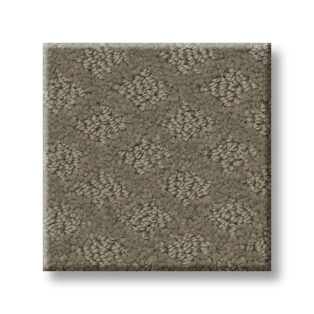 Shaw Foundations Entwined With You 00771 Abbey Stone Nylon Carpet ...