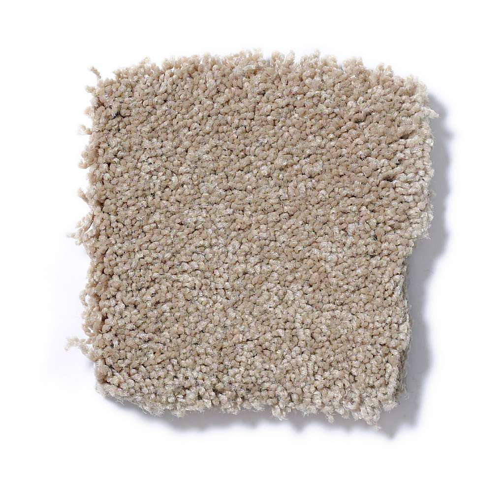 Shaw Foundations Sandy Hollow Classic III 12' 00108 Adobe Nylon Carpet ...