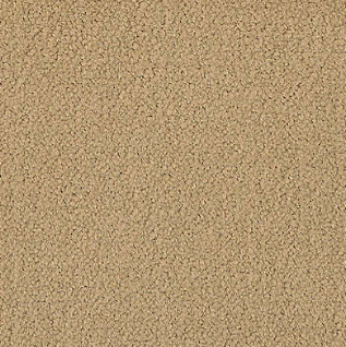 Aladdin Commercial Influencer 30 121 Adobe Sand Textured Nylon Carpet ...