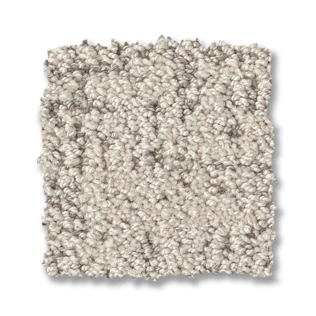 Shaw Pet Perfect Run Free 00101 Almond Silk Pattern Polyester Carpet ...