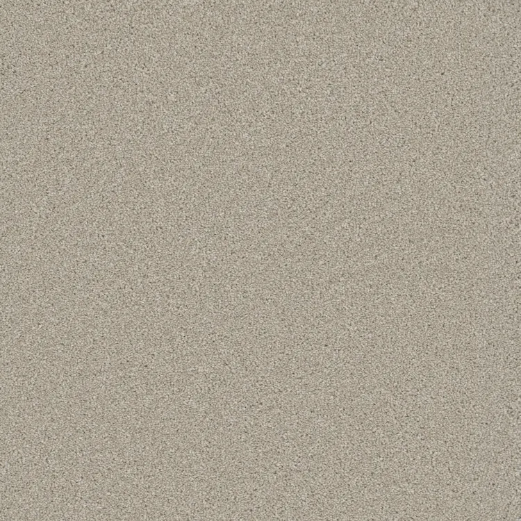 Phenix Microban Ethereal 711 Angelic Textured Polyester Carpet — Stone ...