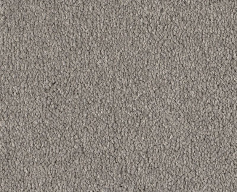 Shaw Before Dawn (S) 00510 Antique Pewter Textured Nylon Carpet — Stone ...
