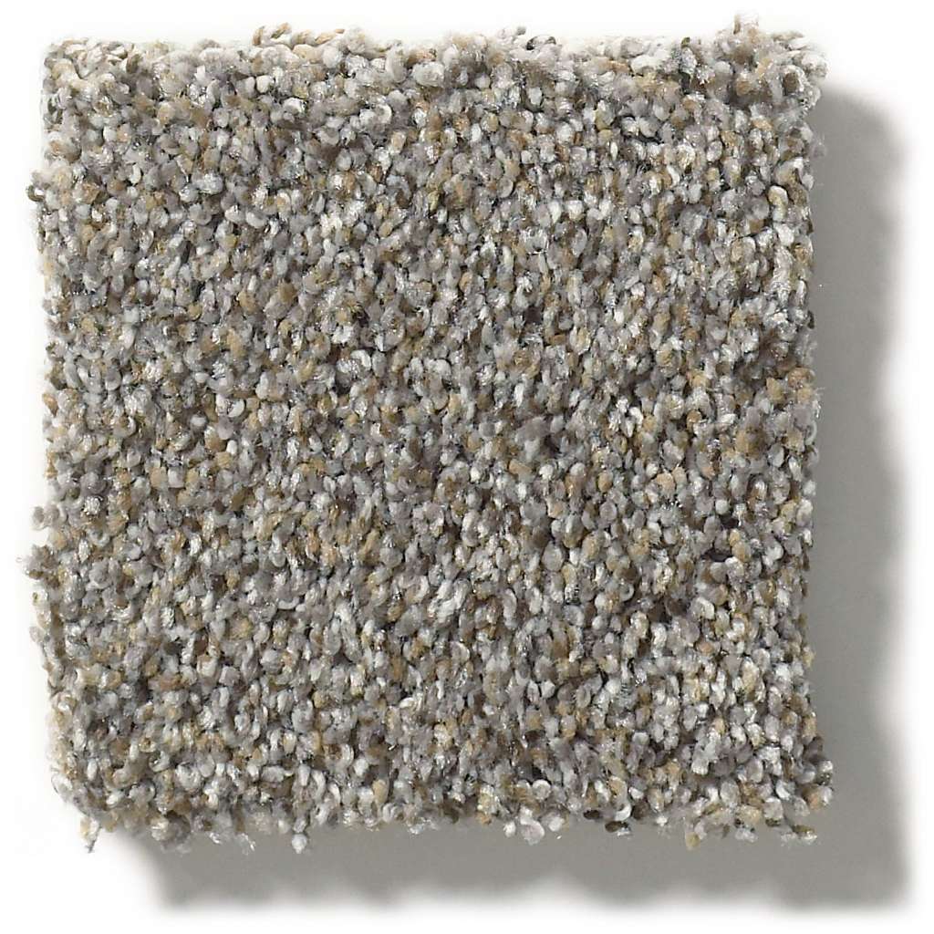 Shaw Foundations Elemental Mix III 00571 Antique Pin Nylon Carpet ...