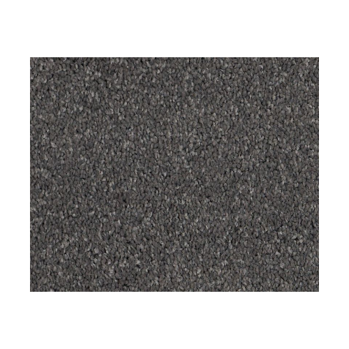 Shaw Castle PV III 00529 Armory Textured Nylon Carpet | Lowest Price ...