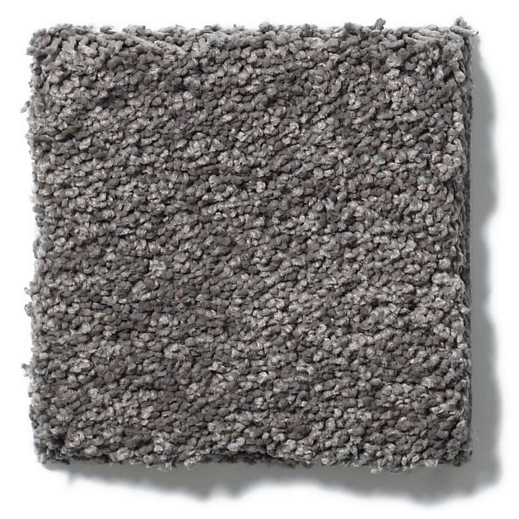 Shaw Caress By Shaw Quiet Comfort Classic IV 00529 Armory Nylon Carpet ...
