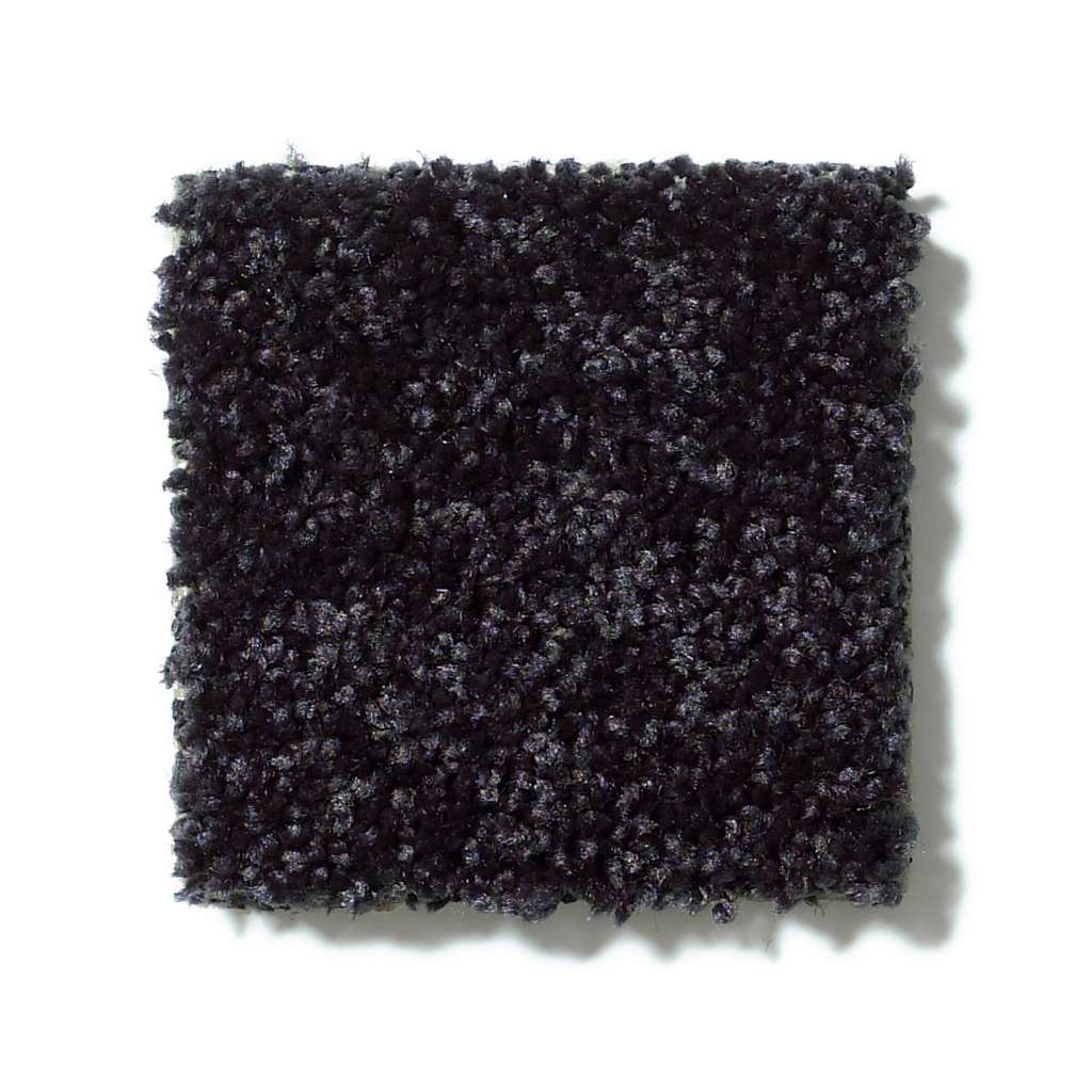 Shaw Queen Point Guard 15' 00502 Armour Textured Polyester Carpet ...