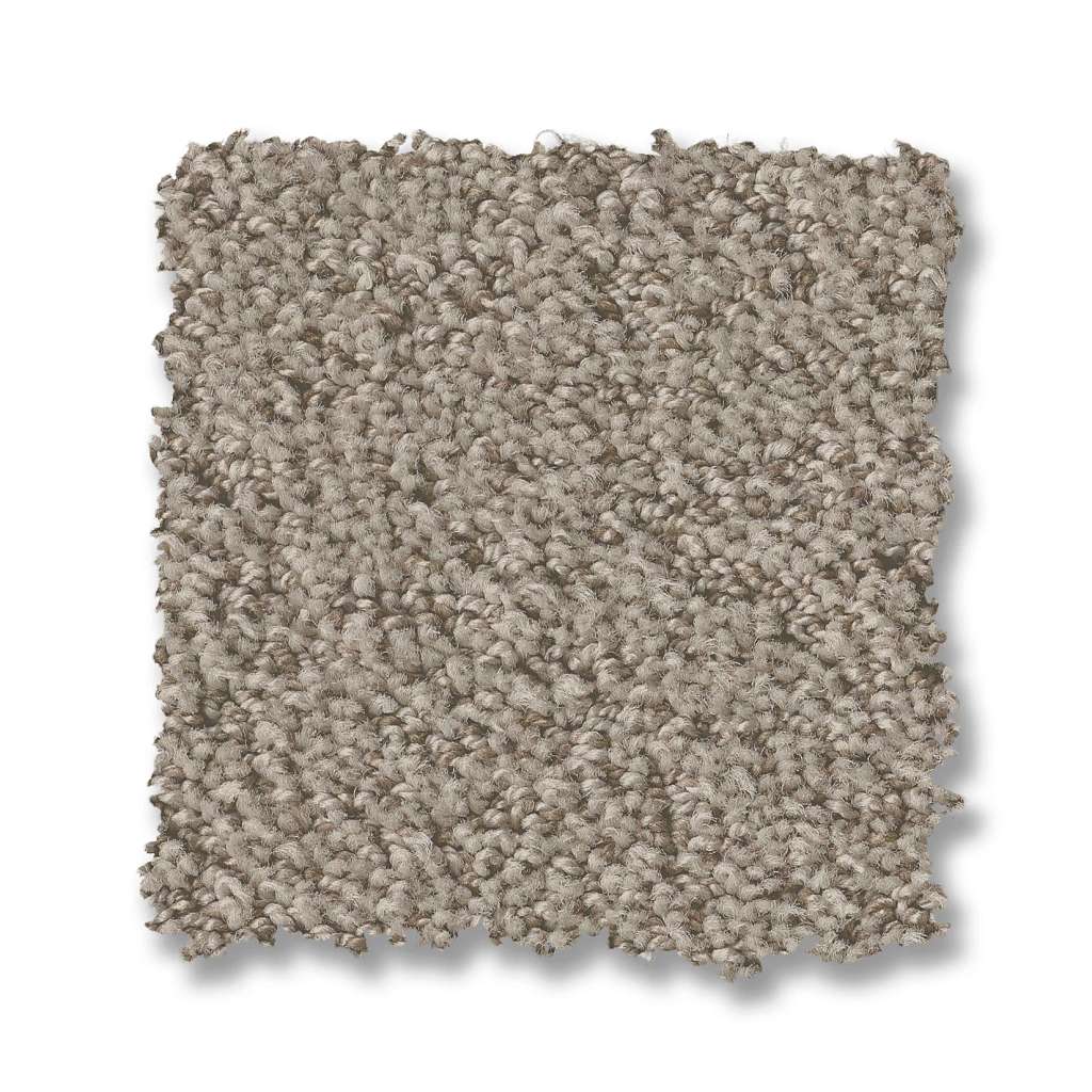 Shaw Foundations Aerial View 00700 Artisan Taupe Pattern Nylon Carpet ...