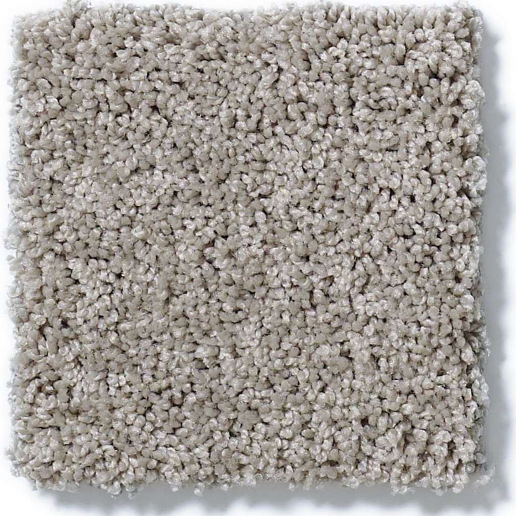 Shaw Soft Shades My Choice II 00550 Ash Textured Nylon Carpet — Stone ...