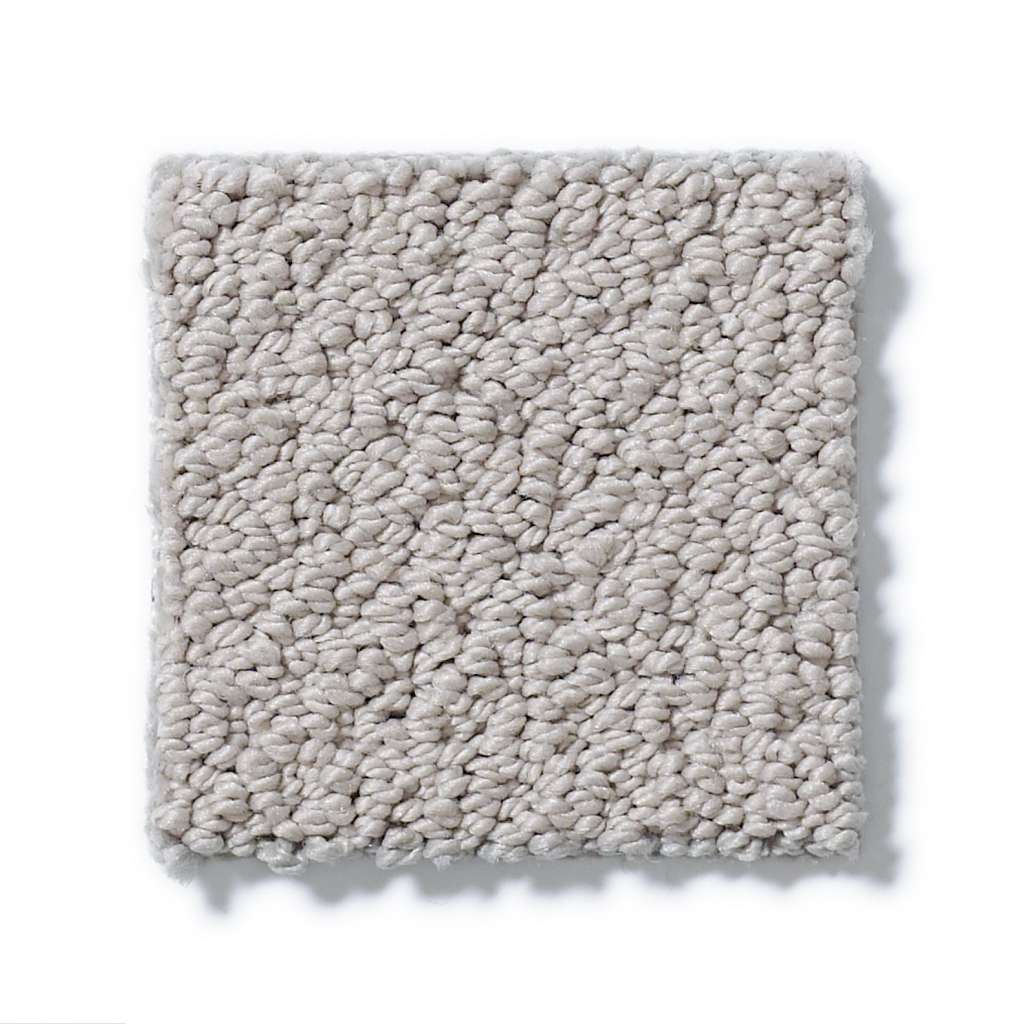 Shaw Soft Shades Truly Relaxed Loop 00550 Ash Loop Nylon Carpet — Stone ...