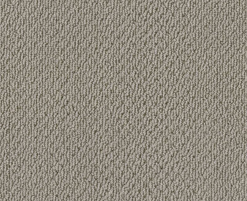 Shaw Lasting Loop 00550 Ash Loop Nylon Carpet | Lowest Price — Stone ...