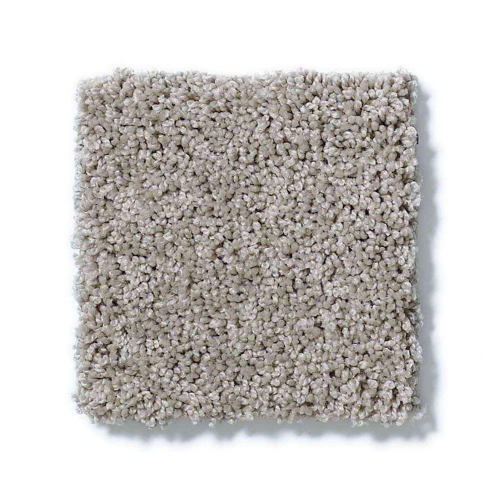 Shaw Soft Shades My Choice III 00550 Ash Textured Nylon Carpet — Stone ...