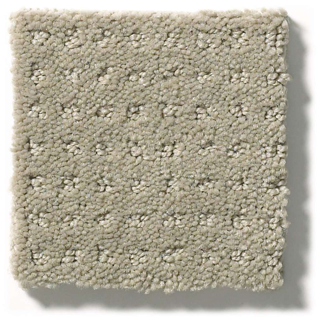 Shaw My Choice Pattern 00550 Ash Pattern Nylon Carpet | Lowest Price ...