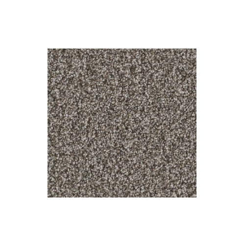 Shaw Artistic Fusion II 00501 Ashes Textured Polyester Carpet — Stone ...