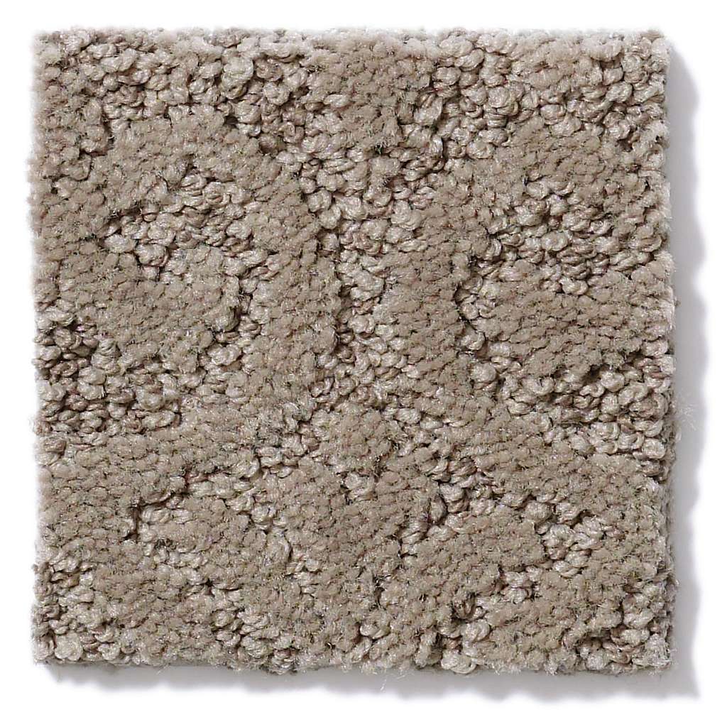 Shaw Caress By Shaw Modern Amenities 00522 Birch Bark Nylon Carpet ...